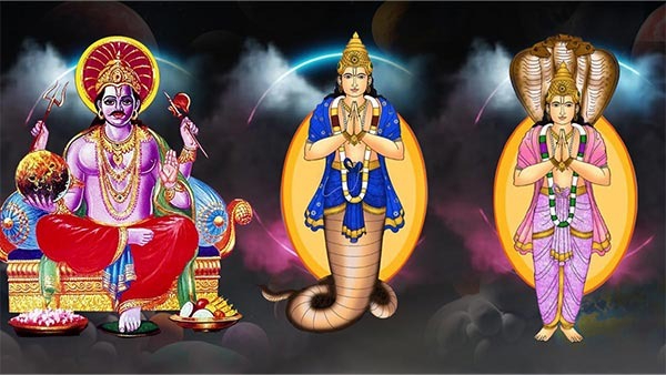 ಶನಿ, ರಾಹು, ಕೇತು 3 ಗ್ರಹಗಳ ಹಿಮ್ಮುಖ ಚಲನೆ: 6 ತಿಂಗಳವರೆಗೆ 4 ರಾಶಿಯವರು ತುಂಬಾನೇ ...