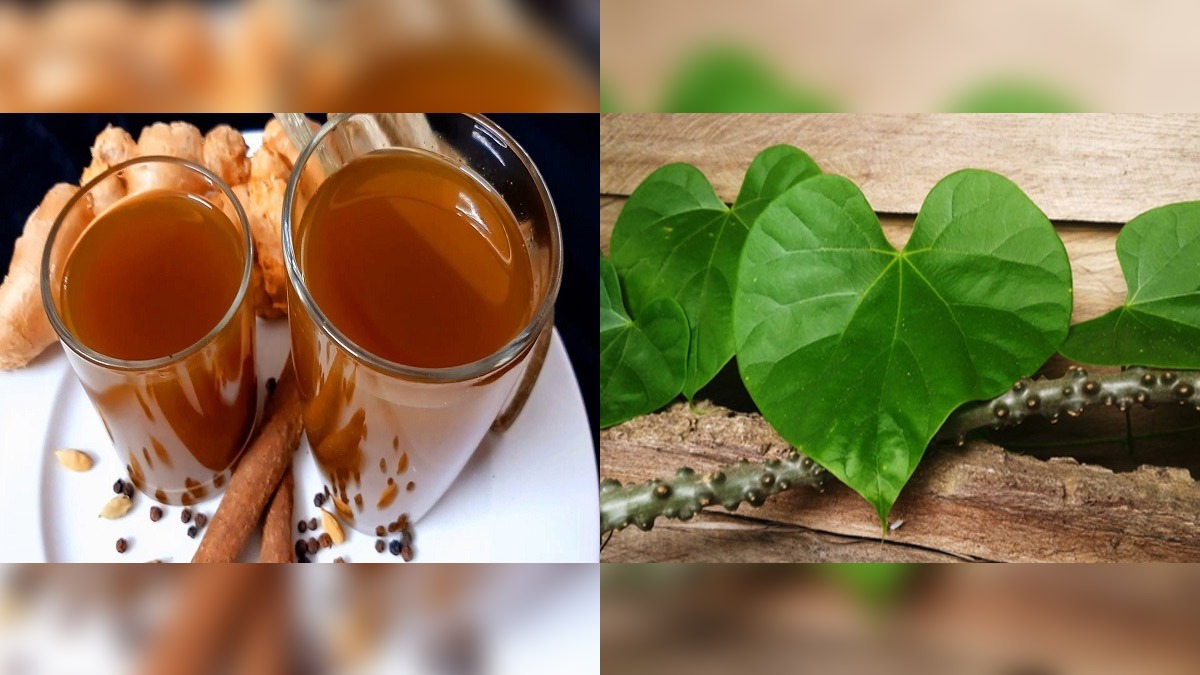 ಮಳೆಗಾಲದಲ್ಲಿ ಕಾಡುವ ನೆಗಡಿ, ಕೆಮ್ಮಿಗೆ ರಾಮಬಾಣ ಈ ಅಮೃತಬಳ್ಳಿ ಕಷಾಯ | Rainy ...