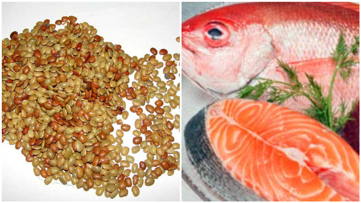 ಮೀನು, ಮಾಂಸಕ್ಕಿಂತ ಹುರುಳಿಯೇ ಬೆಸ್ಟ್‌..! ಎಷ್ಟೆಲ್ಲಾ ಲಾಭವಿದೆ ಗೊತ್ತಾ? | Health ...