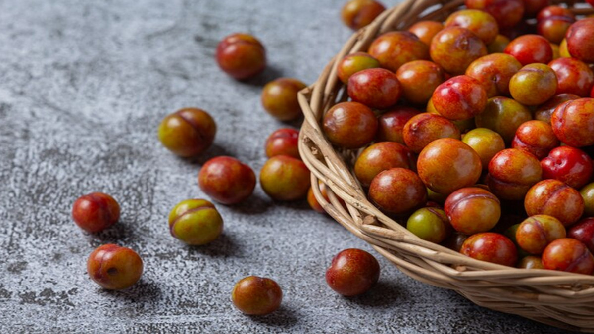 ಬೋರೆ ಹಣ್ಣಿನ ಪ್ರಯೋಜನ ಗೊತ್ತಾ..? ದೇಹಕ್ಕಿದು ಅಮೃತವಿದ್ದಂತೆ..! | Health Benefits Of Ber Fruit: Jujube ...