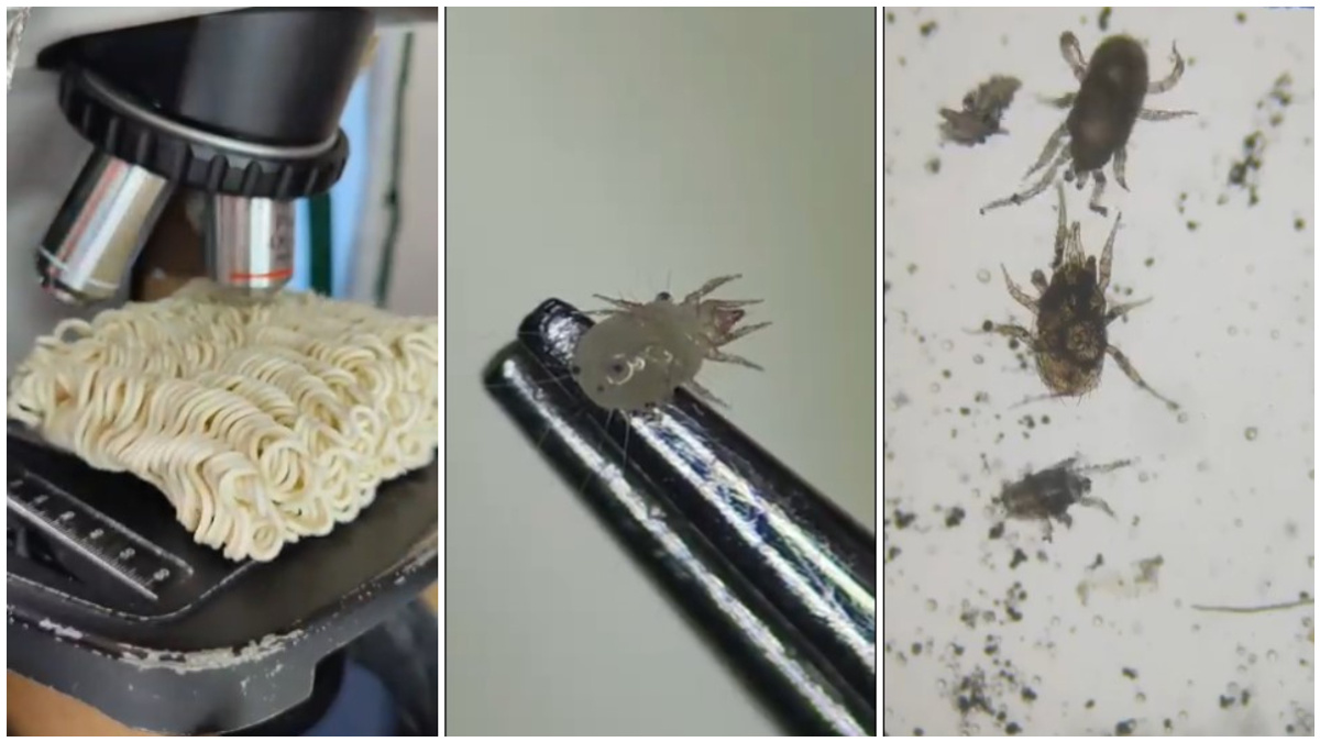 ಈ ವಿಡಿಯೋ ನೋಡಿದ್ರೆ ನೂಡಲ್ಸ್ ತಿನ್ನೋದನ್ನೇ ಬಿಡುತ್ತೀರಿ..!! | If You Watch ...